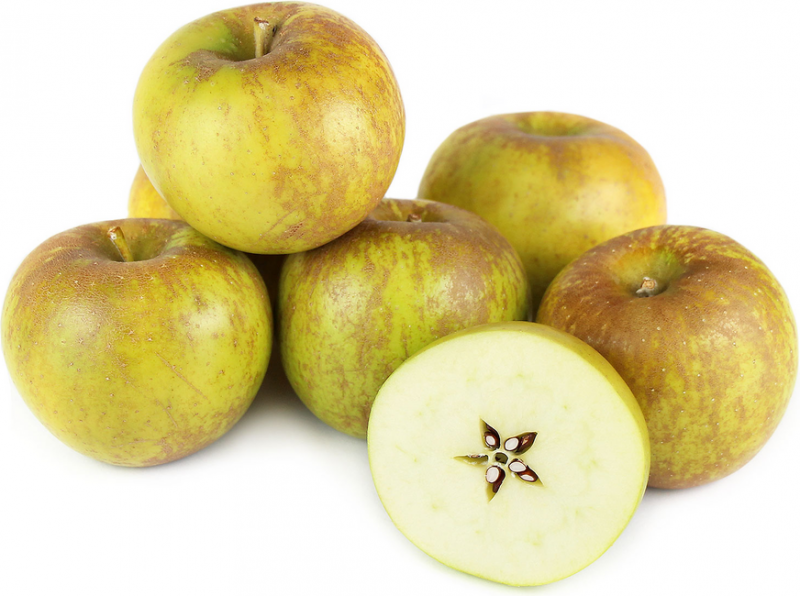Pommier Golden Russet LARGE SEMI-NAIN (B118) – Pépinière Casse-Noisette
