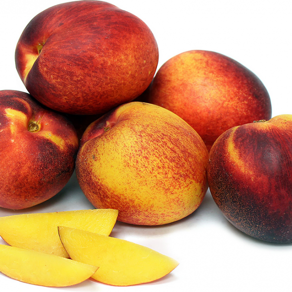 Pêchers et Nectarines – Pépinière Casse-Noisette